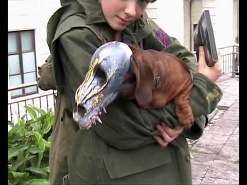 Видео на конкурс - STALKER - FEST - YouTube