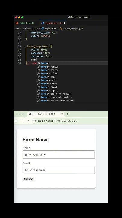 Form Basic Html And Css 🧑🏻‍💻foryoupagе Fyp Programming Coding Html