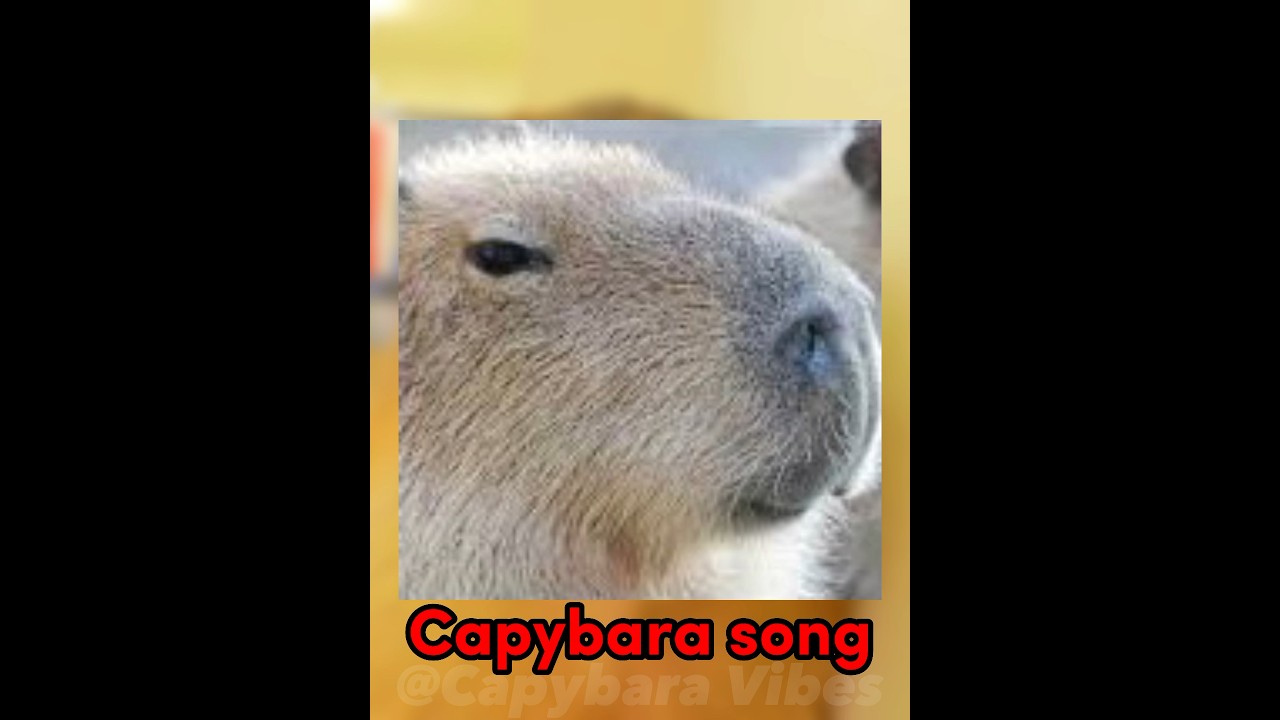 Capybara song - YouTube