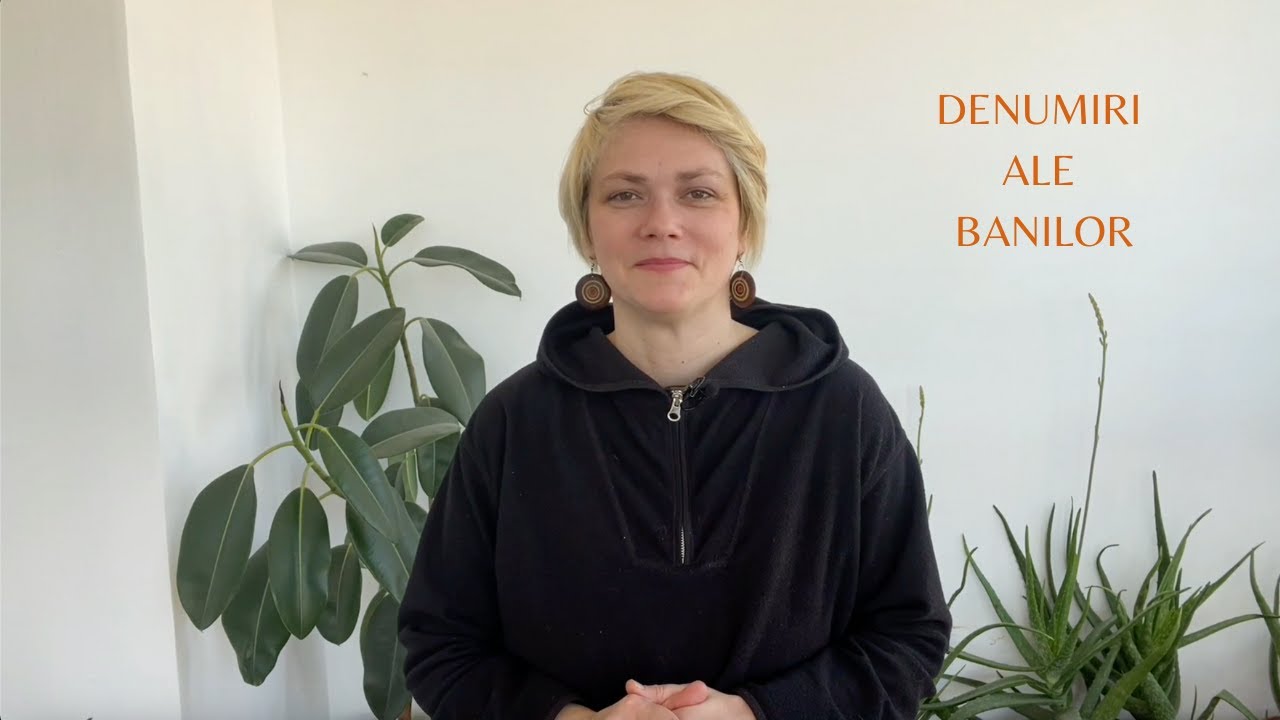 29 - Diferite denumiri ale banilor - YouTube