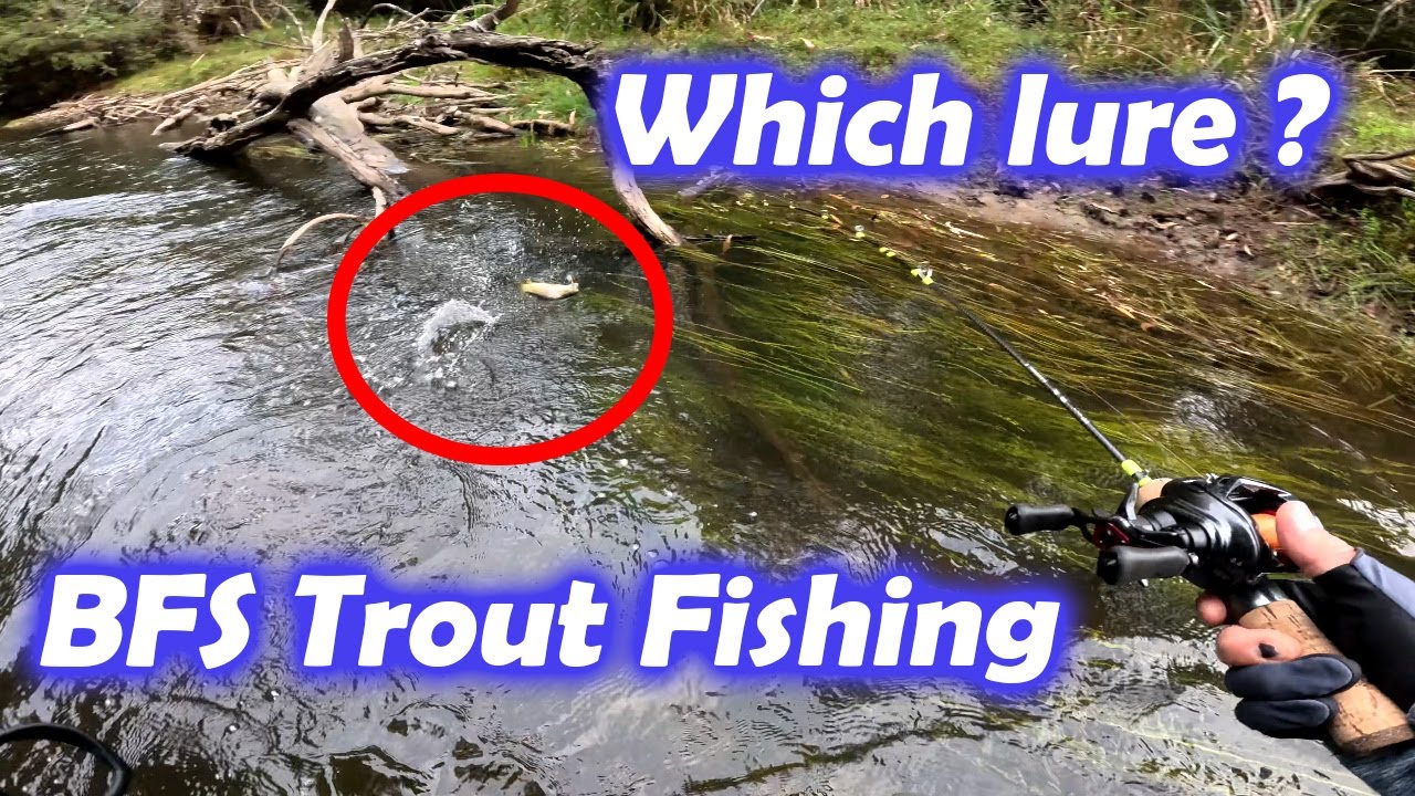 Trying out various lures on BFS setup | Goulburn River Tributaries, VIC ...