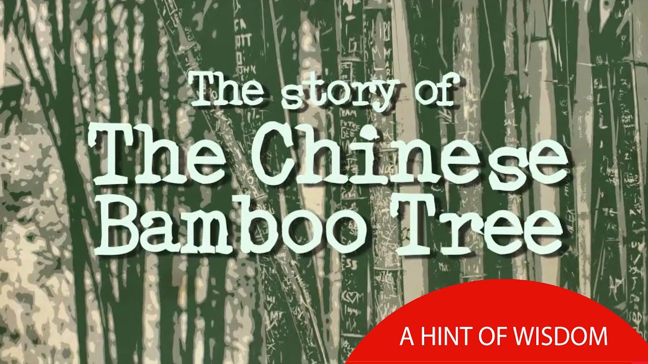 The Story Of The Chinese Bamboo Tree - YouTube