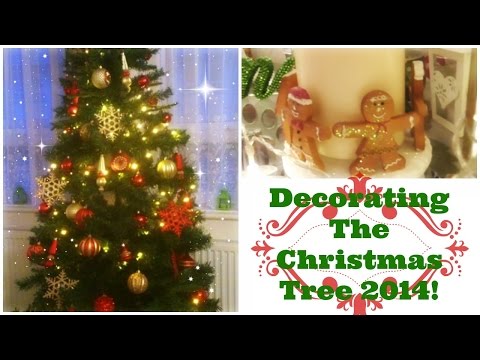 Decorating The Christmas Tree 2014!