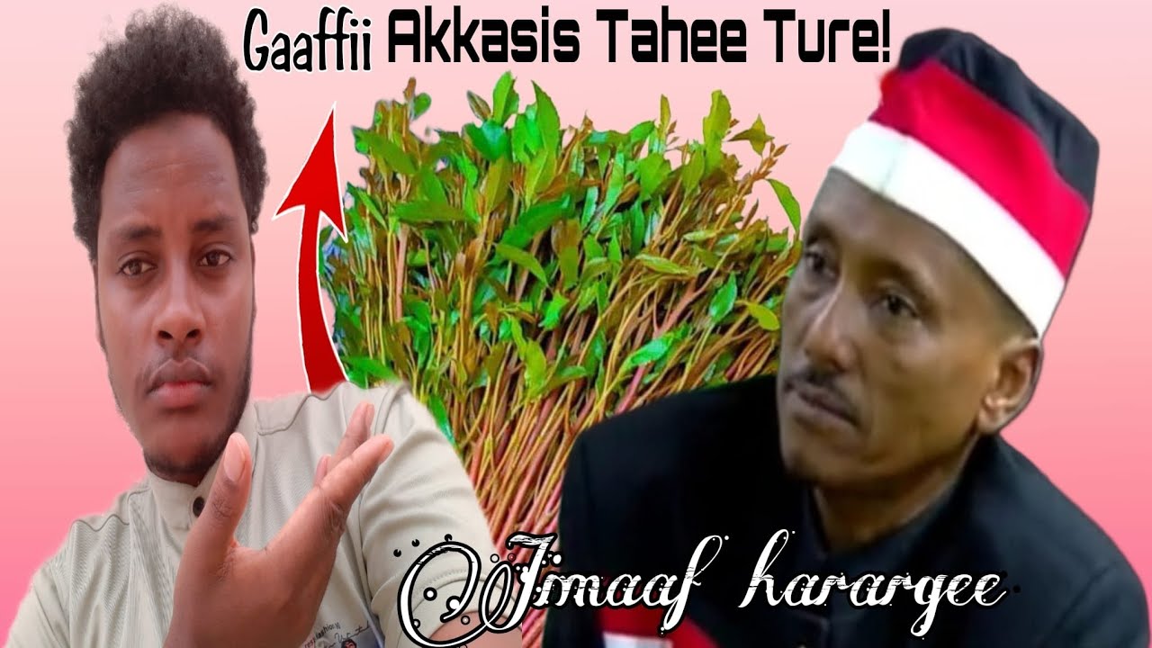 Waa'ee jimaafii harargee akkas jedhee ture Abbaan Gadaa afran qalloo ...