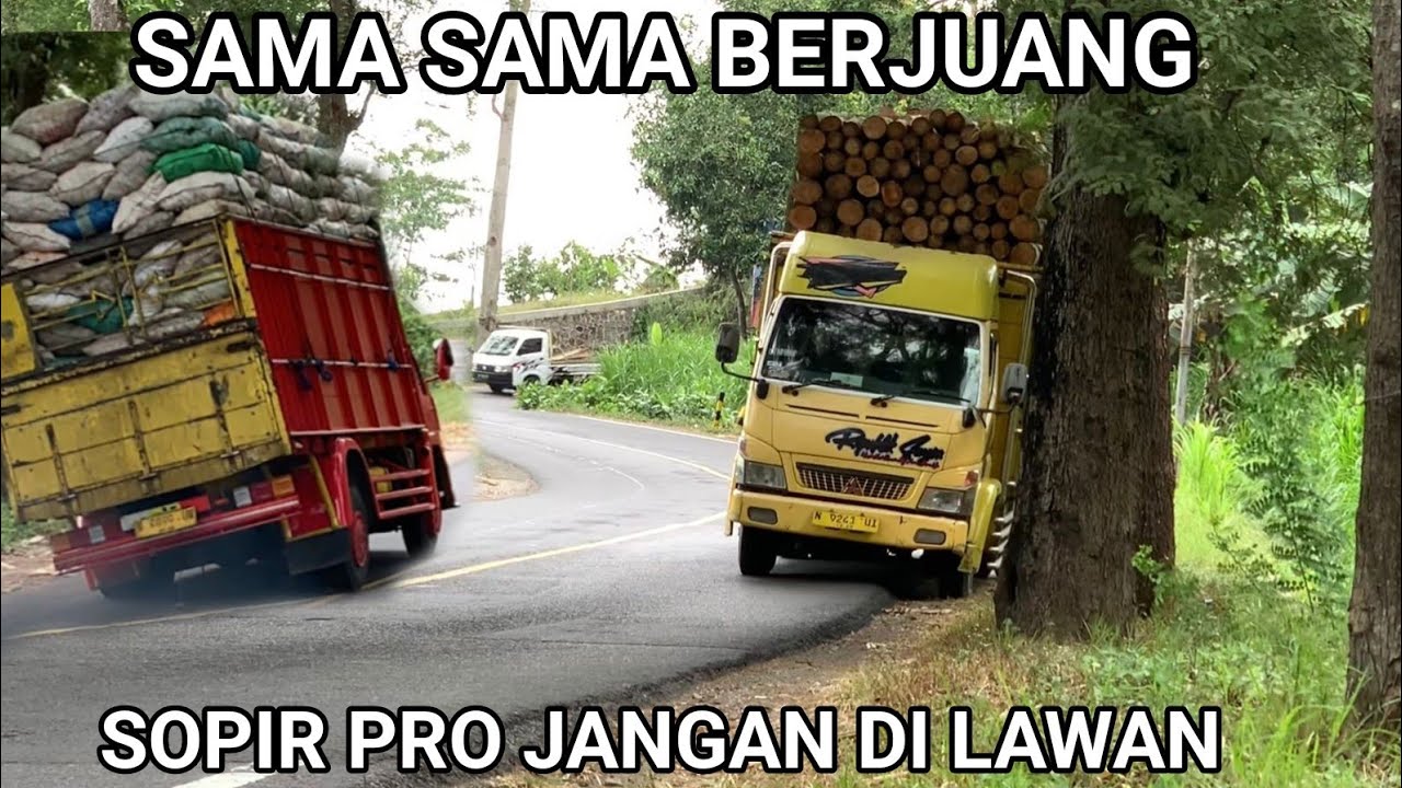 Kalau ragu ragu di jalur Lahor jangan nek4t !! Full truk muatan tebu ...