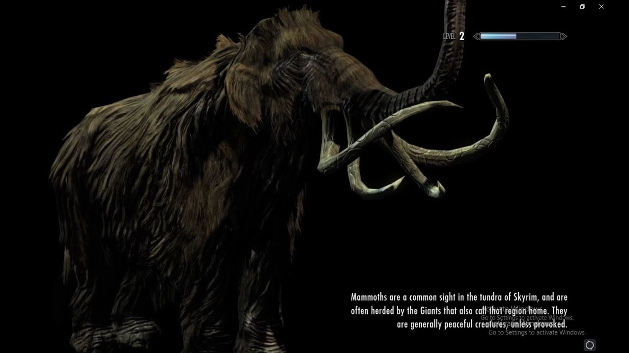 Cool Mammoth facts - Skyrim - YouTube