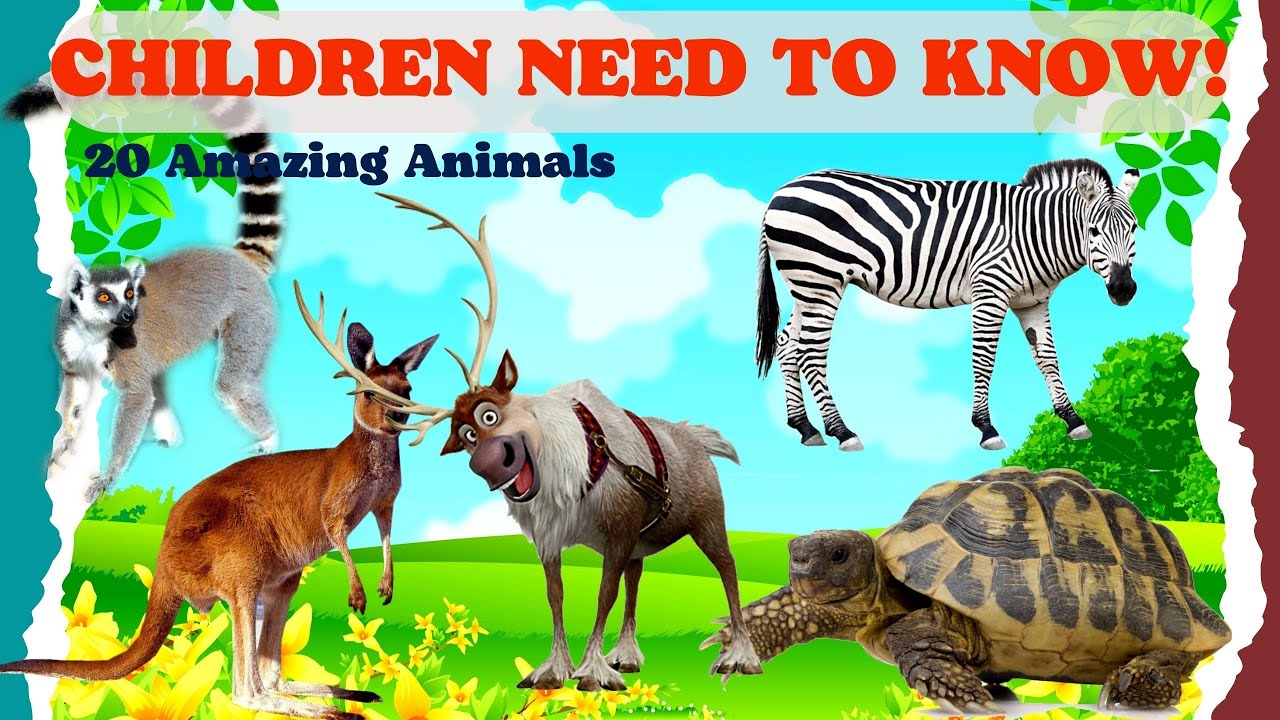 Animal Sounds for Children - 20 Amazing Animals (part 2) - YouTube