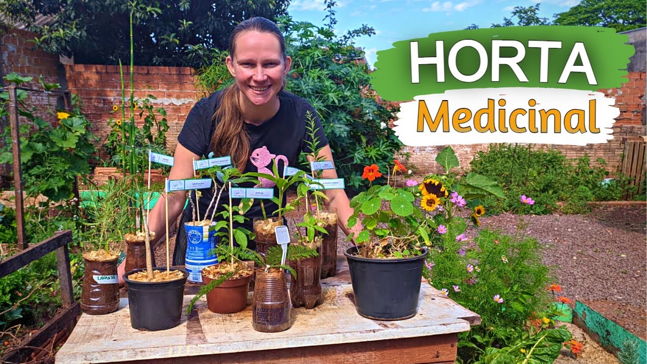 Chegaram Novas Plantas MEDICINAIS para a Horta🌱 Horta no Quintal 💚 ...