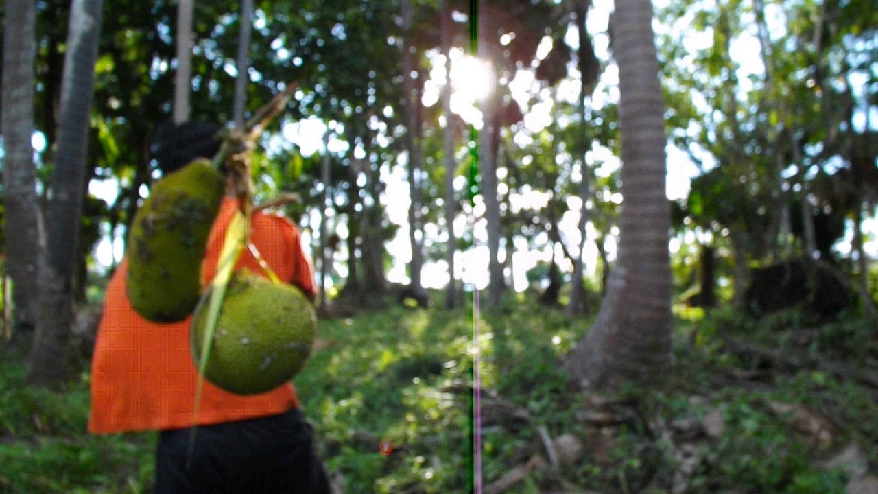 BUHAY SA BUNDOK BRGY SAMAT LOPEZ QUEZON - YouTube