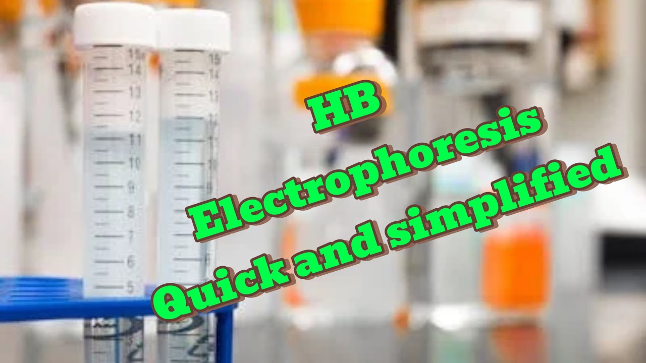 How to run HB electrophoresis in the laboratory ( HB genotype) - YouTube