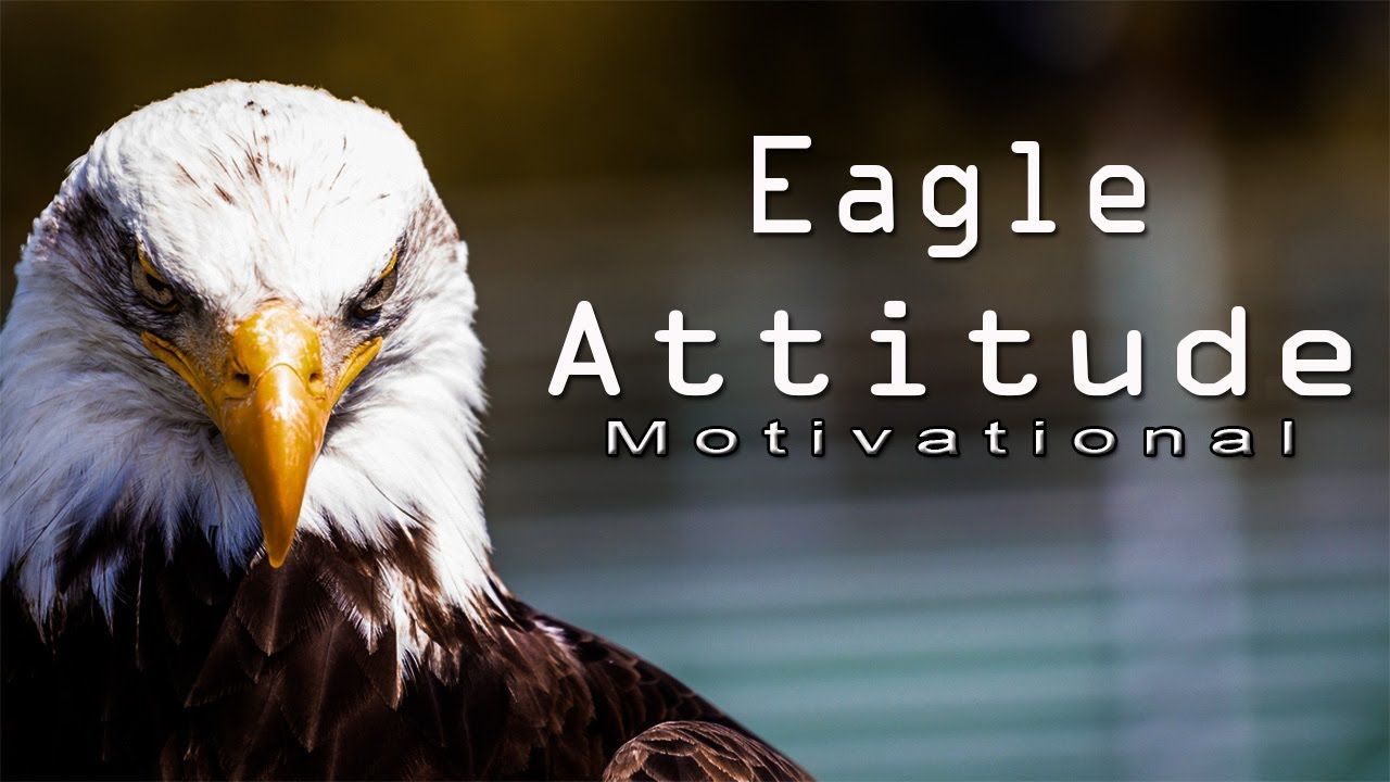 Eagle attitude | Motivational | inspirational | Workout motivation ...