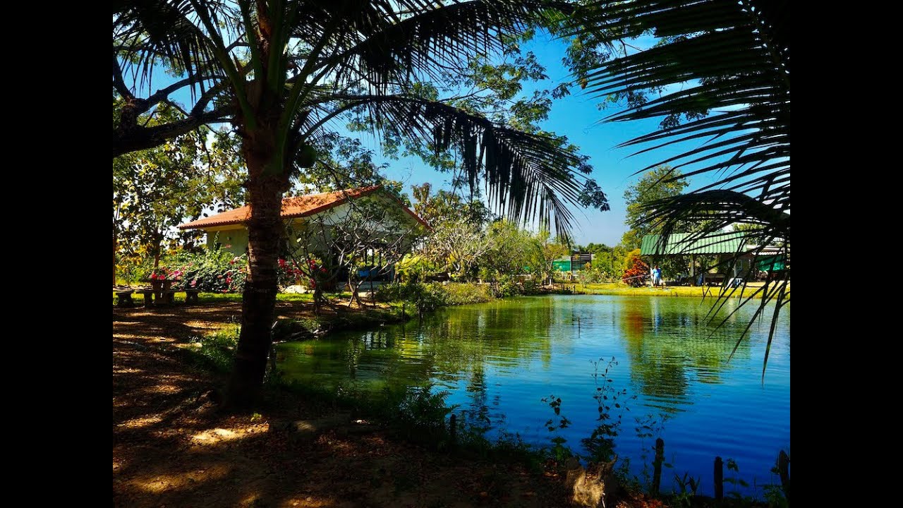 Tea Tree House in San Patong, Chiang Mai (Outdoors): Private Getaway ...