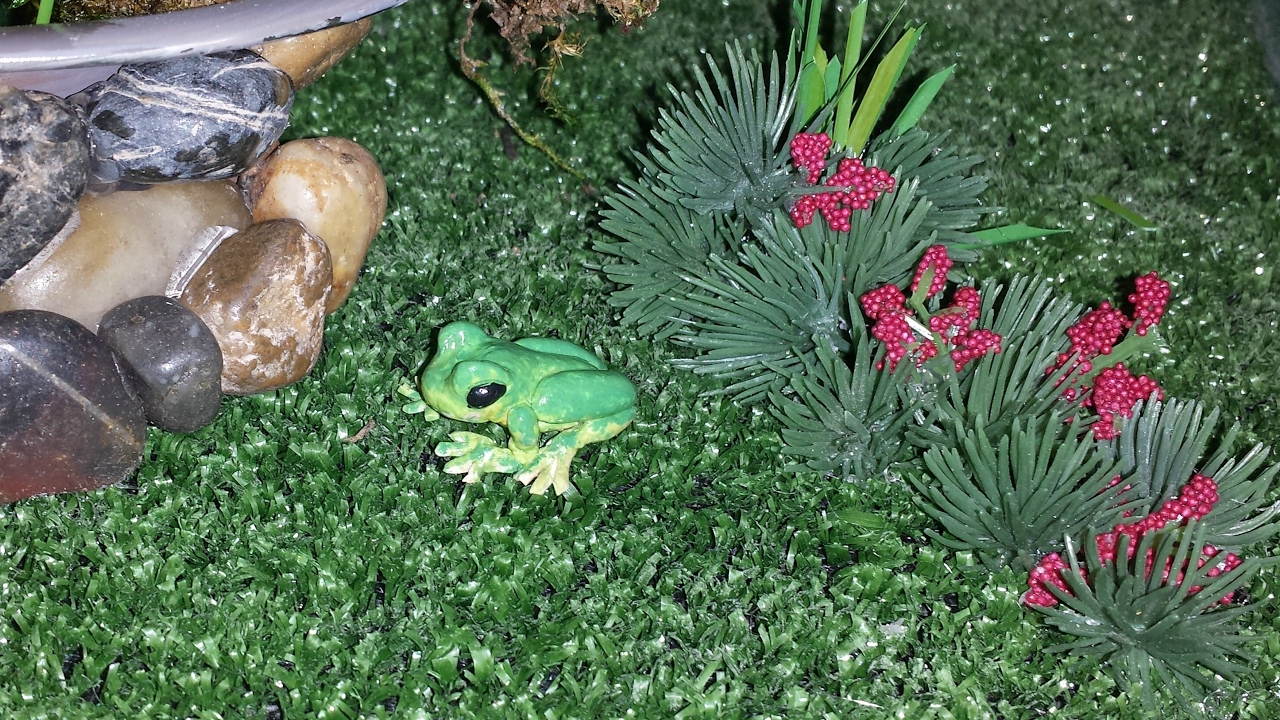 How to make a Miniature Frog - YouTube