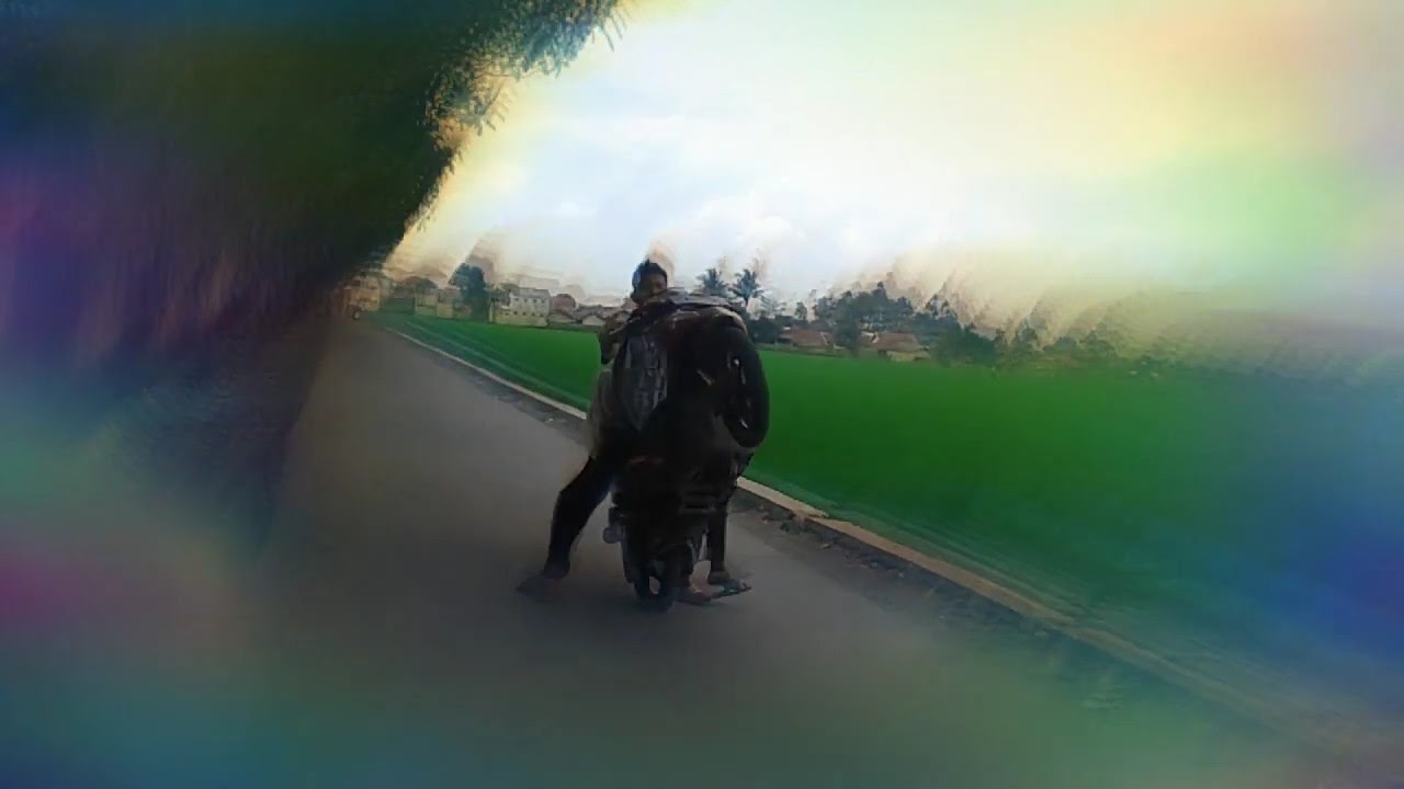 Emak Gila - YouTube