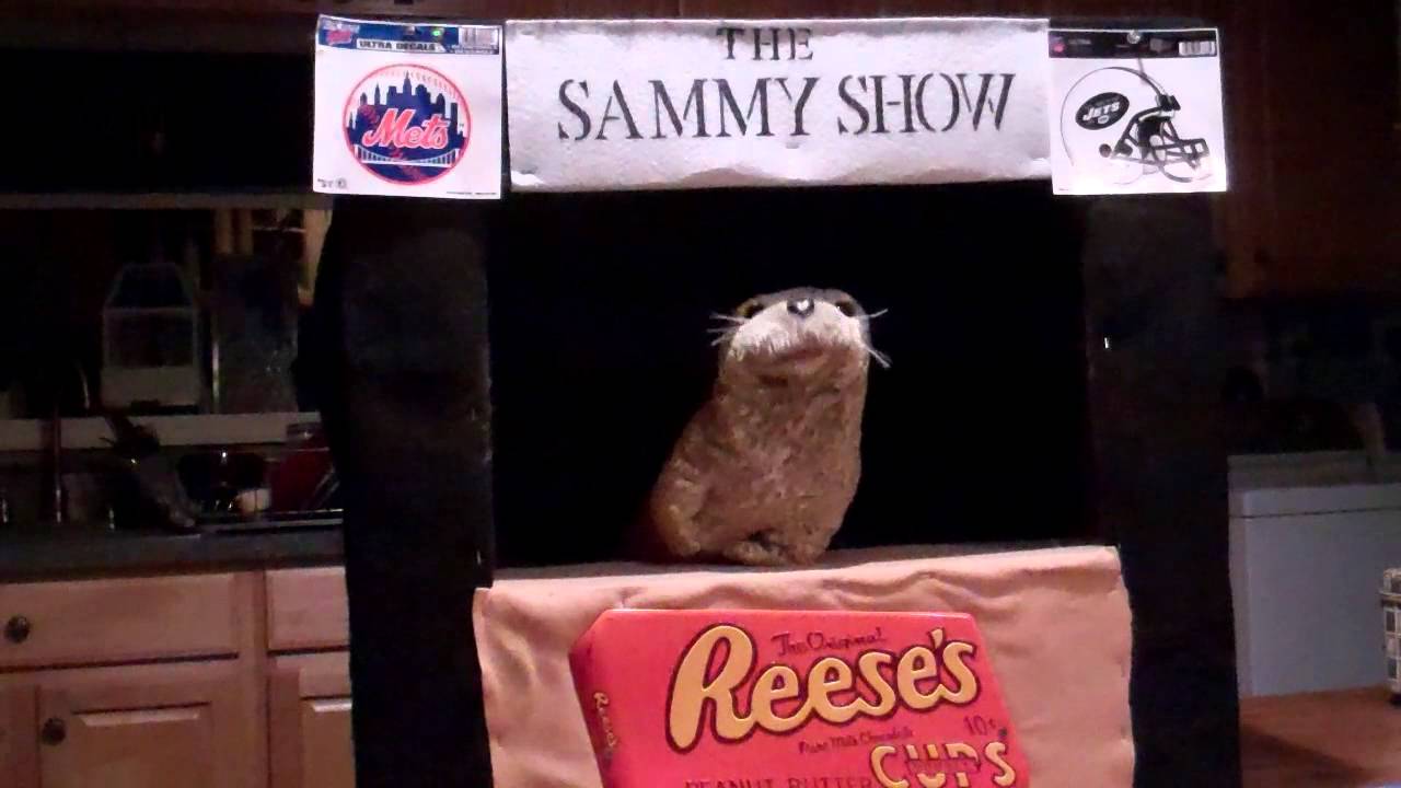 The Sammy Show (S3E7): $500,000,000 - YouTube