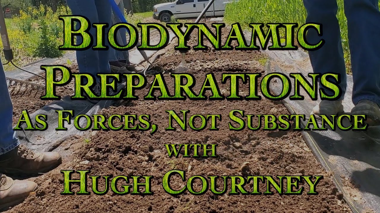 Biodynamic Preparations As Forces, Not Substance with Hugh Courtney ...