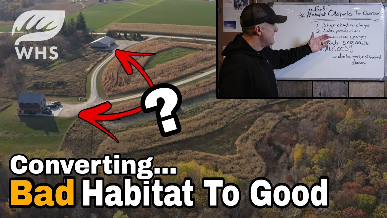 How To Convert Bad Deer Habitat To Good - YouTube