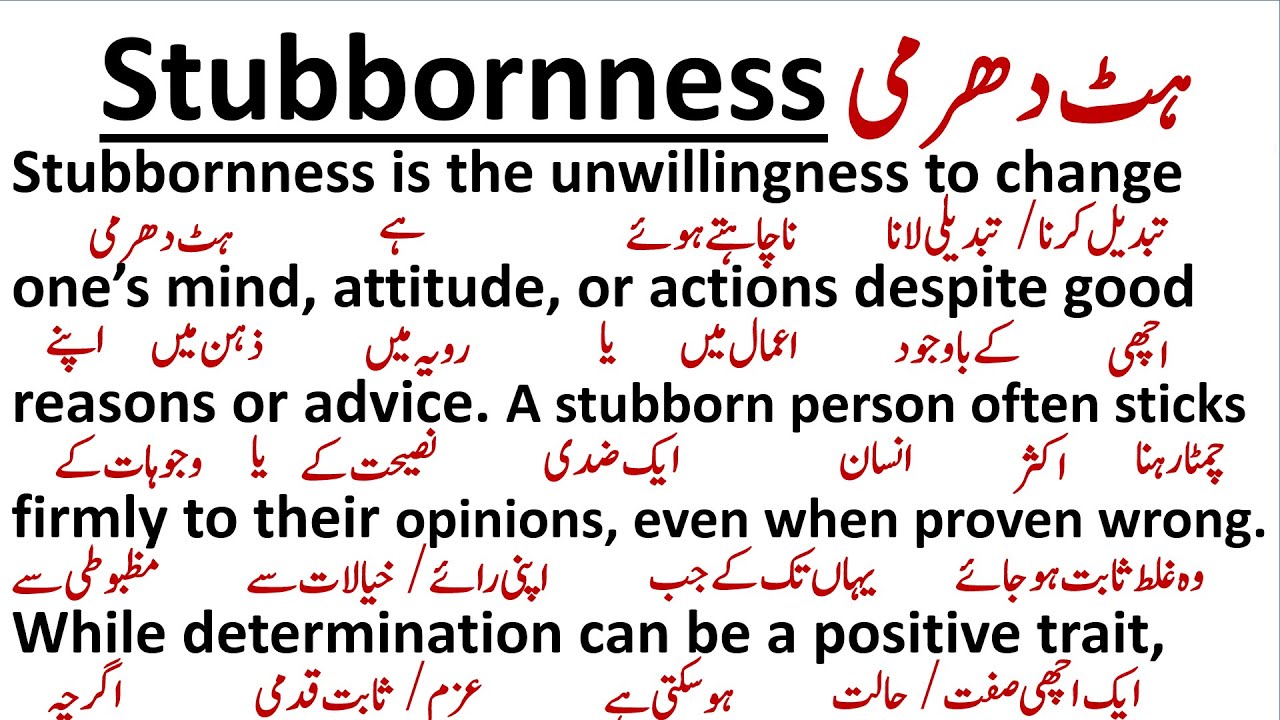 Stubbornness || ہٹ دھرمی || Spoken English || #translation # ...