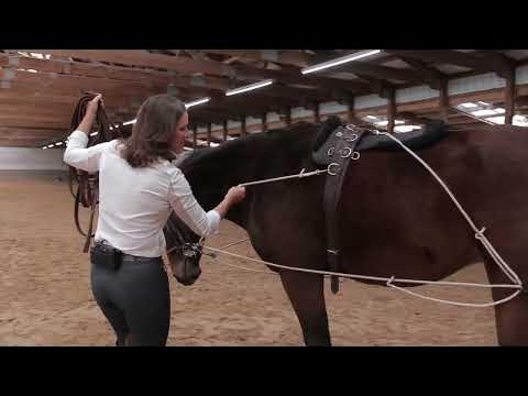 Setting Up the Pessoa System: A Guide to Properly Fitting and Adjusting ...