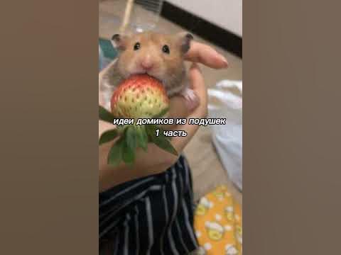 идеи домиков из подушек - YouTube