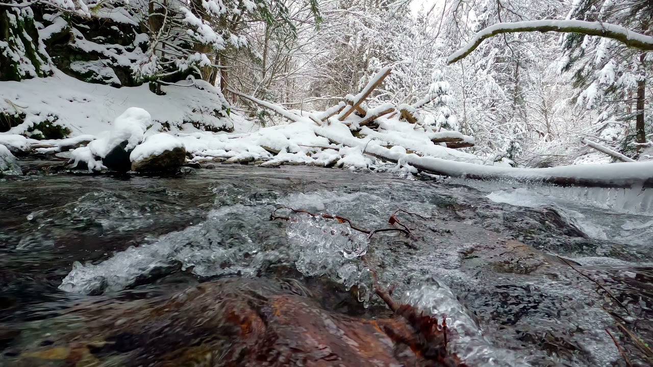free horizontal winter scene video - YouTube