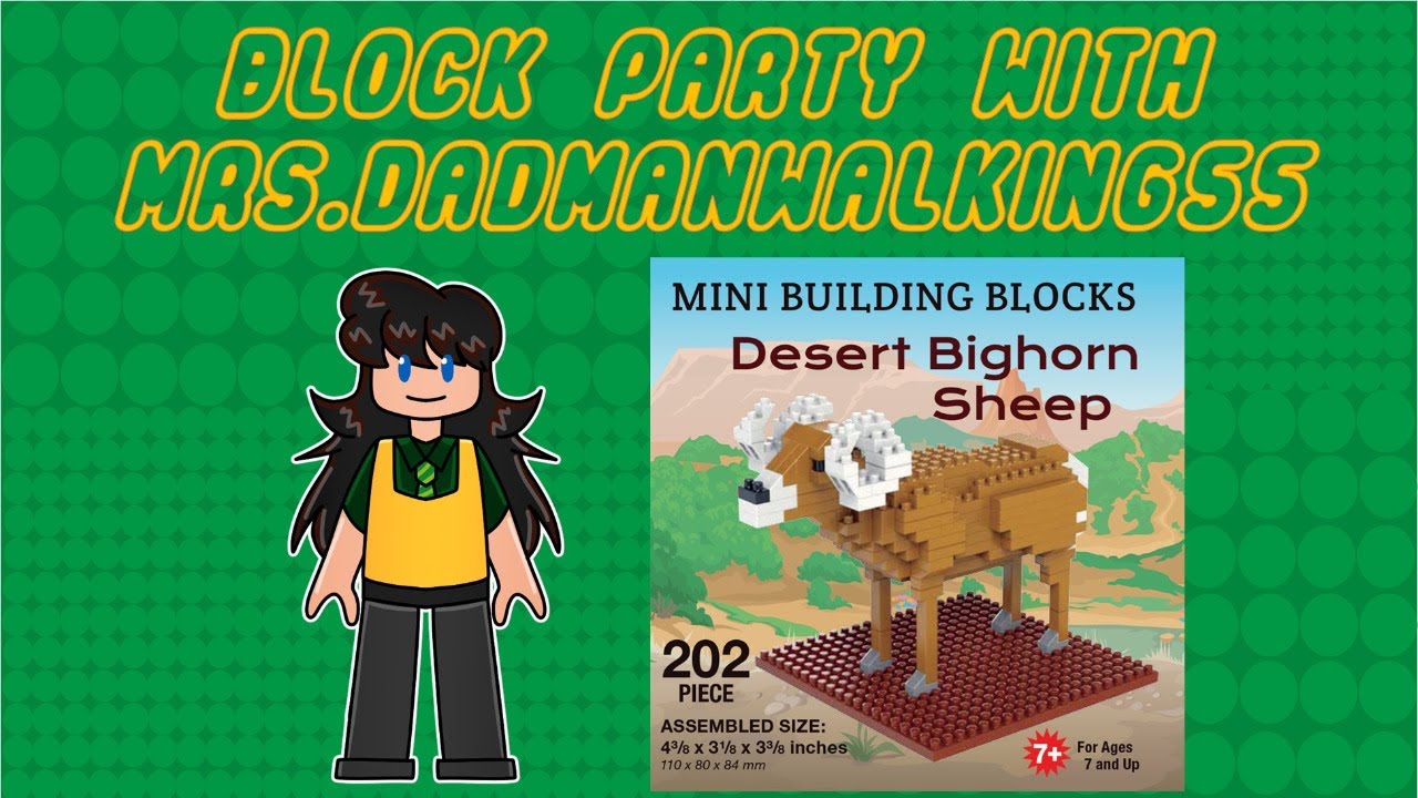 Block Party with Mrs.DadmanWalking55 (18+) Mini Building Blocks ...