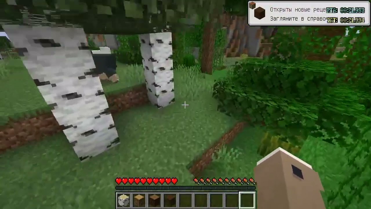 Minecraft all wood logs 1:11 (SSG 1.19) - YouTube