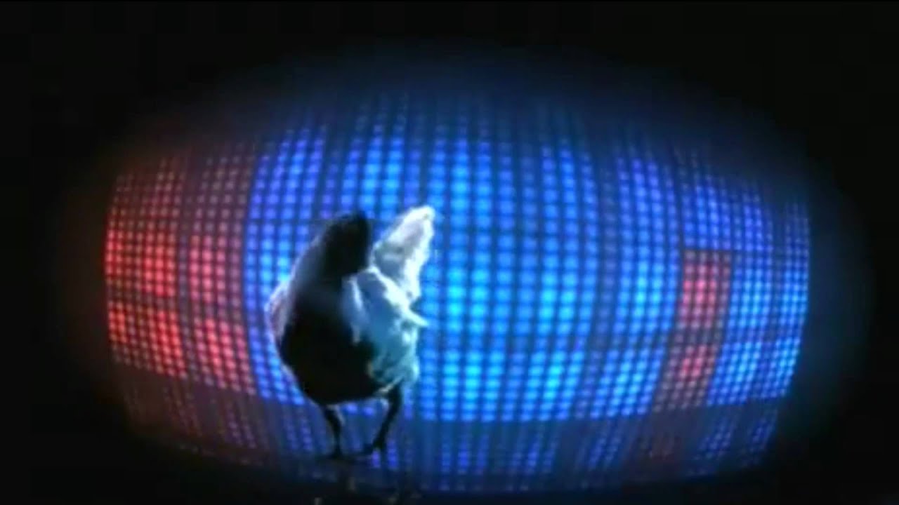 Techno Chicken [FULL HD] - YouTube