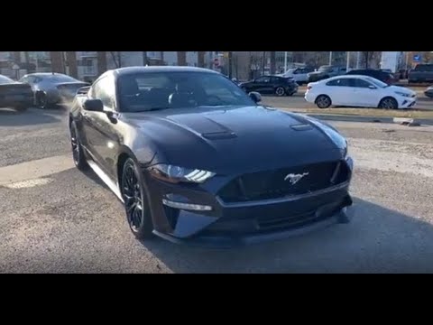 2023 Ford Mustang GT Premium | Mischievous Purple Metallic - YouTube