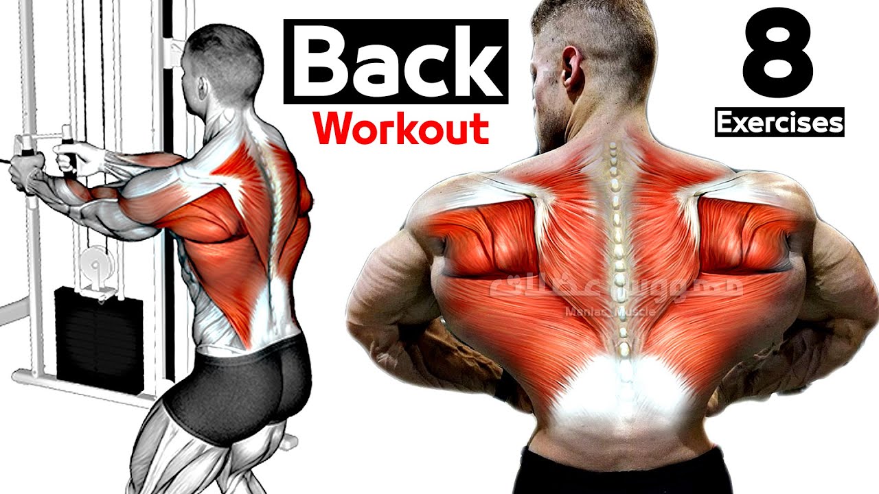 These are the 8 Biggest Back Exercises You Need to Know - YouTube