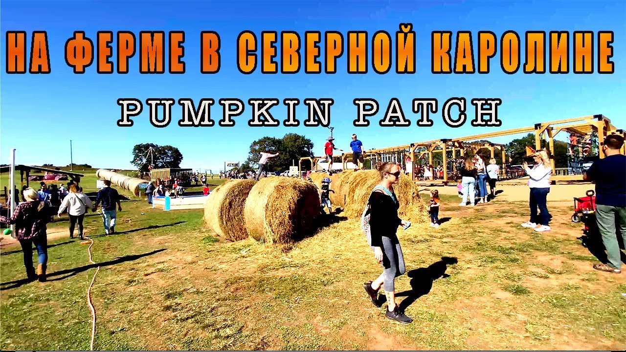На тыквенной ферме в Северной Каролине. Осенние выходные для детей. Pumpkin Patch. - YouTube