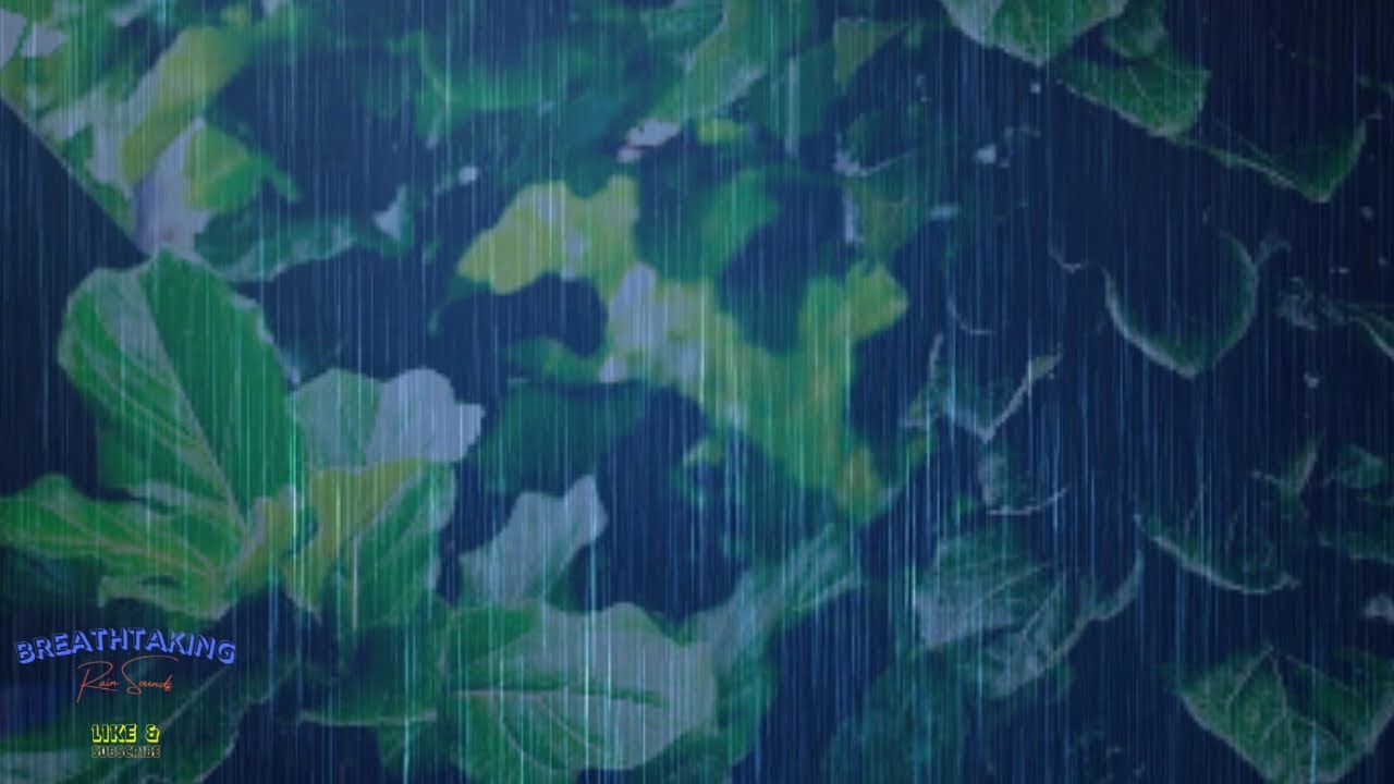 Rain on Leaves | Breathtaking Rain Sounds | Rain with Thunder #rain - YouTube