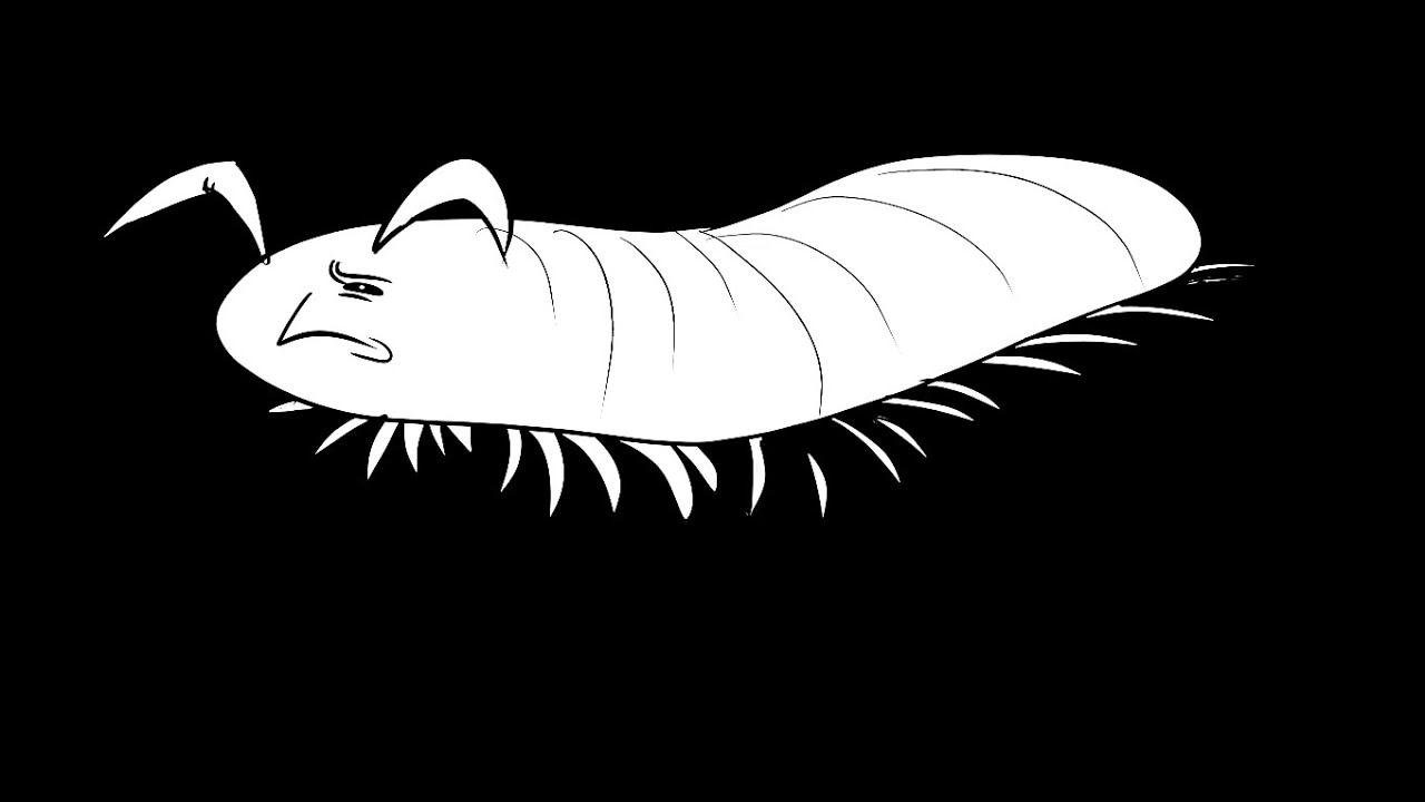 RED FLAGS // HUMAN CENTIPEDE (Silly Little Animation) - YouTube