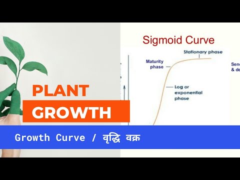 Plant Growth Curve |Sigmoid Curve | Typical Growth Curve - YouTube