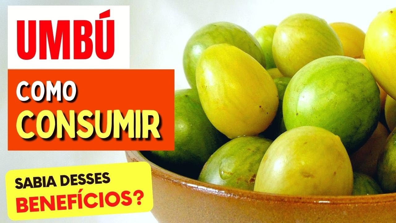 Benefícios da UMBÚ que TODOS DEVERIAM CONHECER! Como Usar e Dicas - YouTube