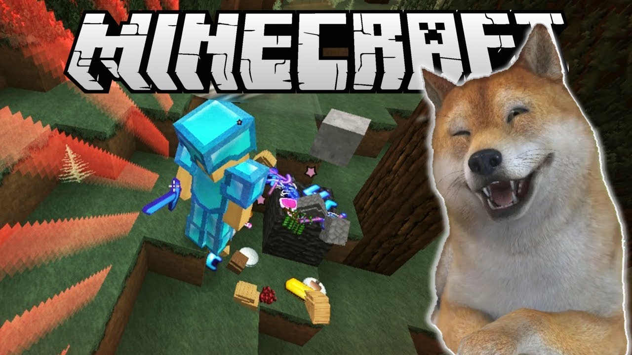 ⚔️ Doge WEBKA [UHC Runy] - YouTube