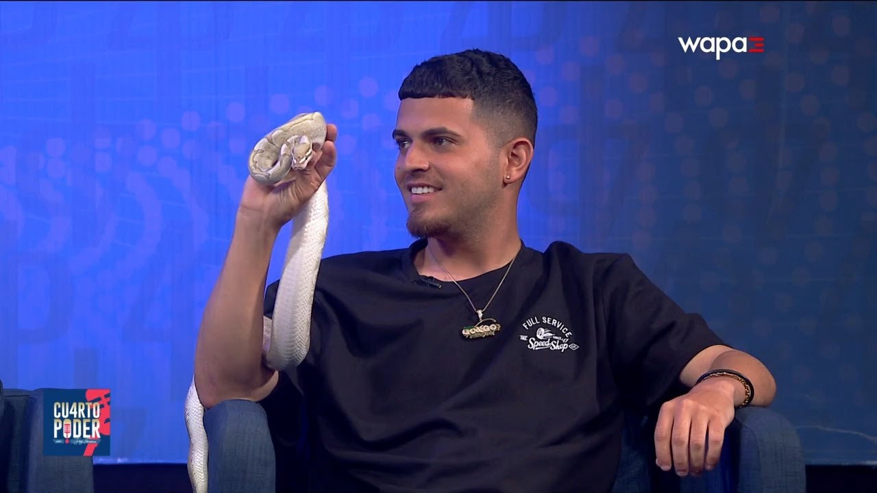 Cuarto Poder con Jay Fonseca : Serpientes fuera de control en Puerto ...