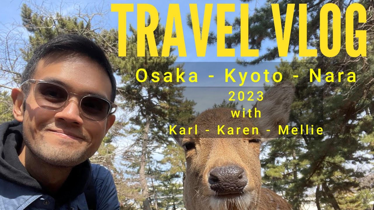 Day 4 - Nara Deer Park - Mochi Pounding Nakatanidou - Wakakusa Curry ...