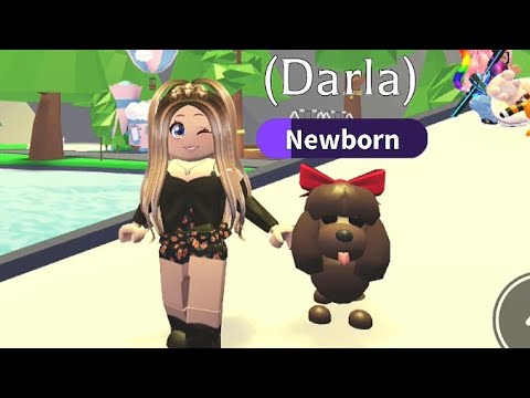 Adopt Me UGC Rewards: How to obtain the new Irish Water Spaniel [+video]