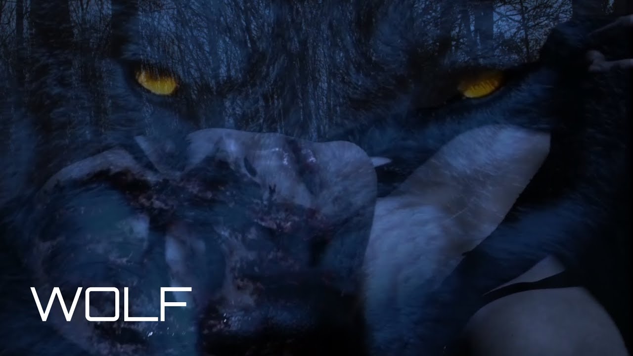 Horror/Thriller WOLF ( Short film) !!WARNING!! Viewers Discretion ...