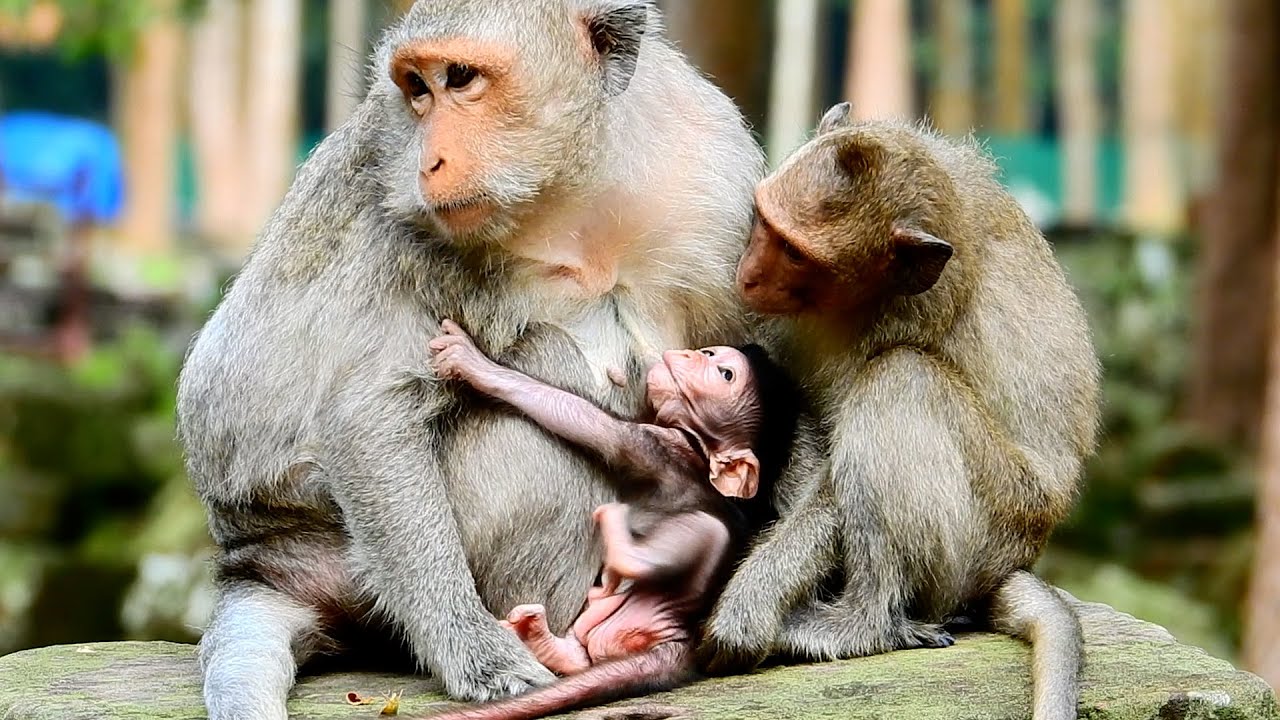 WHEN JULIANA LEARN HOW MOM CARE JINX REVIEW - YouTube