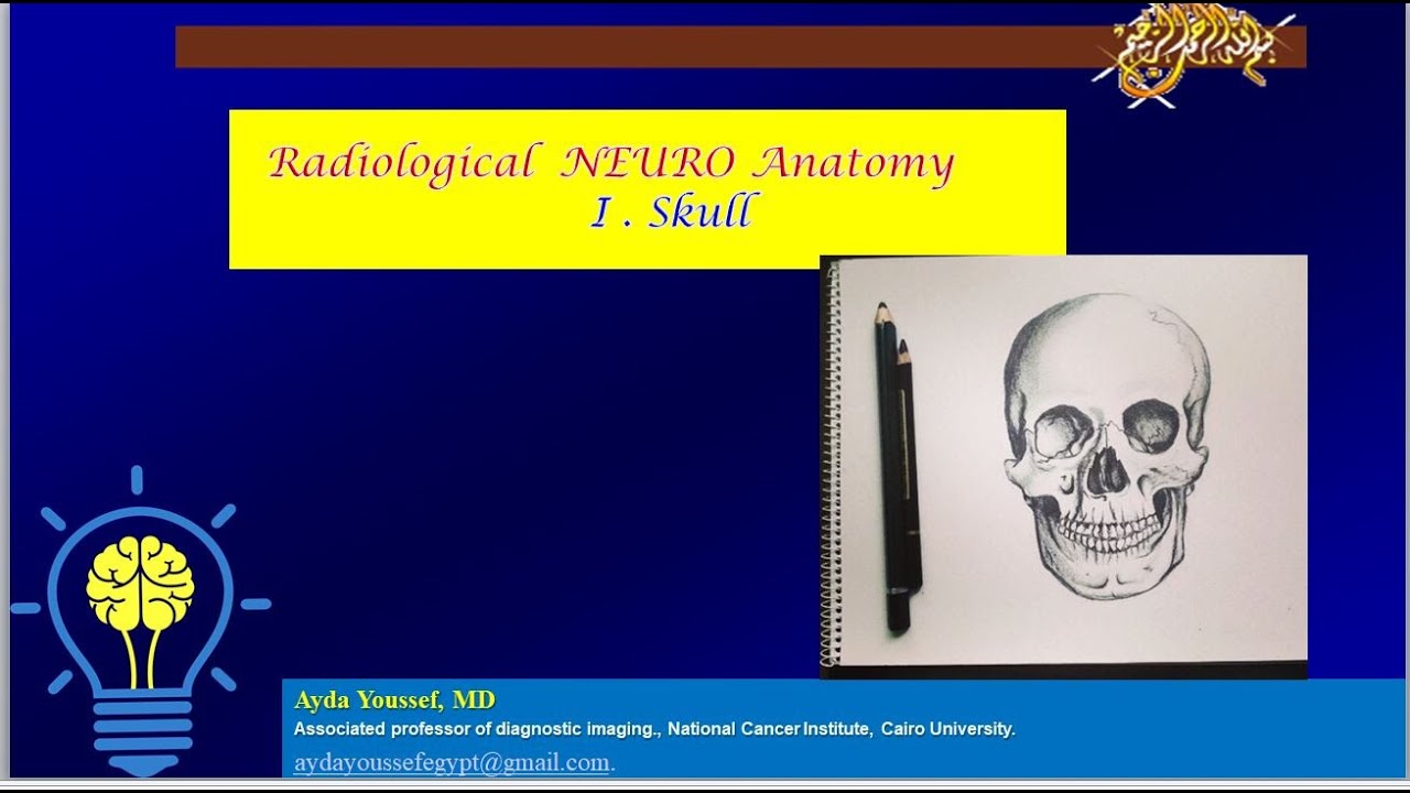 1. skull anatomy - YouTube