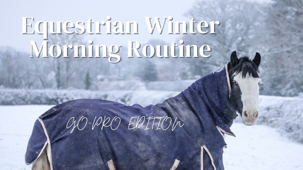 EQUESTRIAN MORNING ROUTINE 2023 | GO-PRO EDITION | Morning Routine Of ...