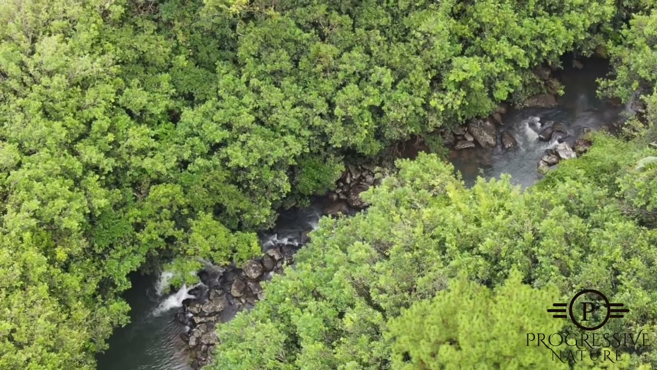 Rioux Waterfall Mauritius - YouTube