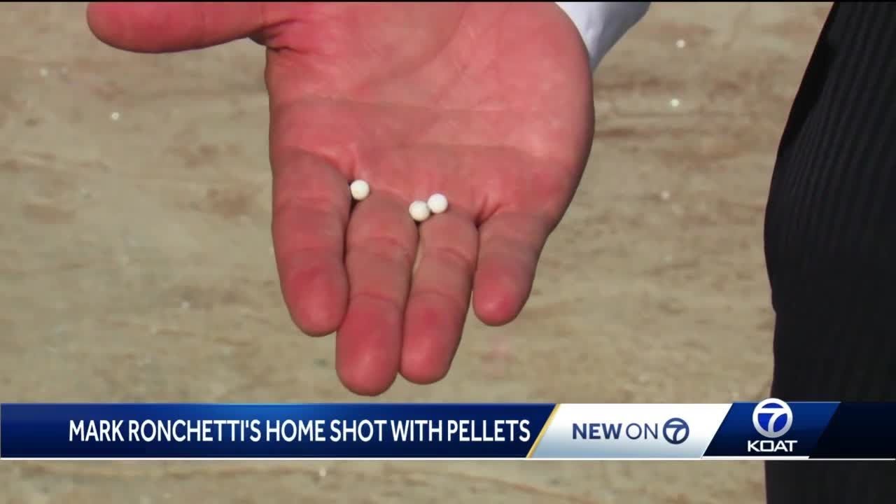 Gubernatorial candidate Mark Ronchetti's home shot with pellets - YouTube