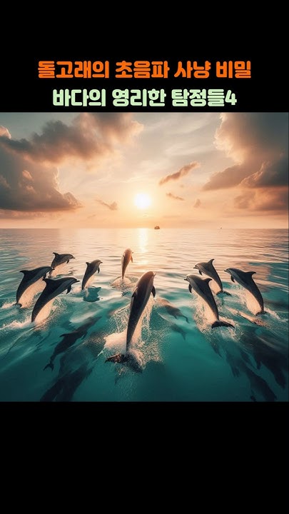 돌고래의초음파사냥비밀바다의영리한탐정들4#돌고래 #초음파사냥 #바다 - YouTube