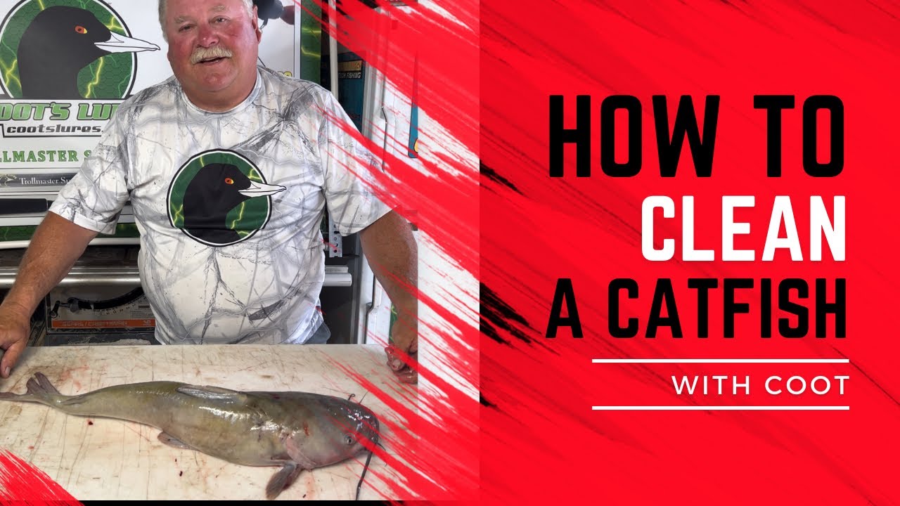 PART 2 - HOW TO CLEAN A CATFISH - YouTube