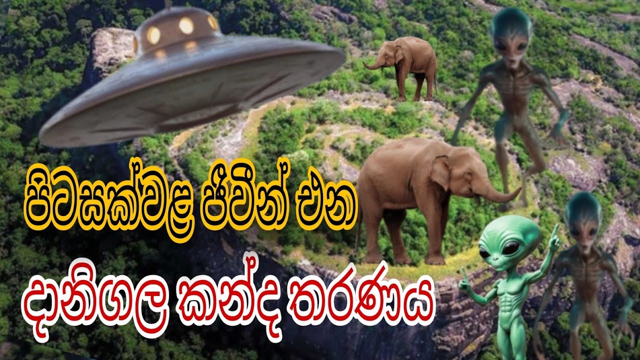 Danigala Circular Rock | Alien Mountain | දානිගල කන්ද තරණය - YouTube