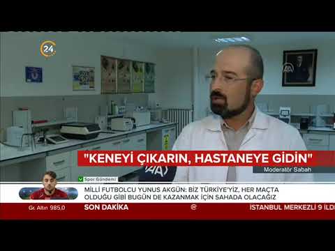 Keneler ve Kırım Kongo Kanamalı Ateşi Hastalığı. Yaz Başlıyor, Vakalar Artıyor