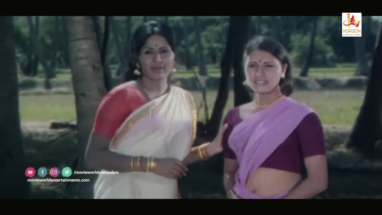 കണ്ടിട്ട് സിനിമാനടിയെപ്പോലുണ്ടല്ലോ | Malayalam Movie Scene | Prem Nazir ...